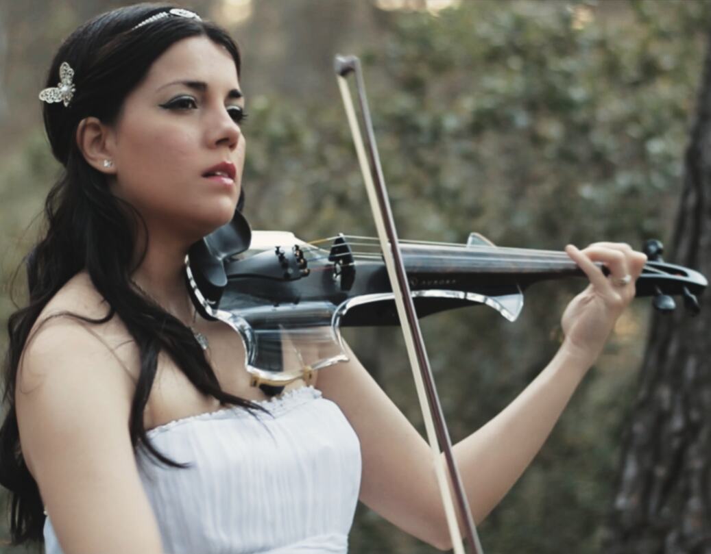 DO YOU WANT TO MEET OUR VIOLIN FAMILY? - VioDance